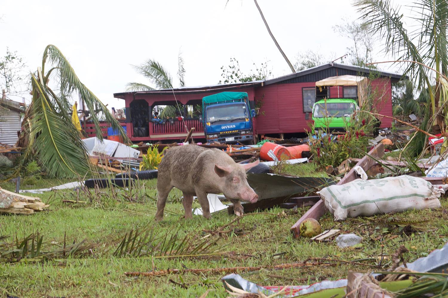 Cyclone Winston Response, Fiji: Learning from history to predict and ...