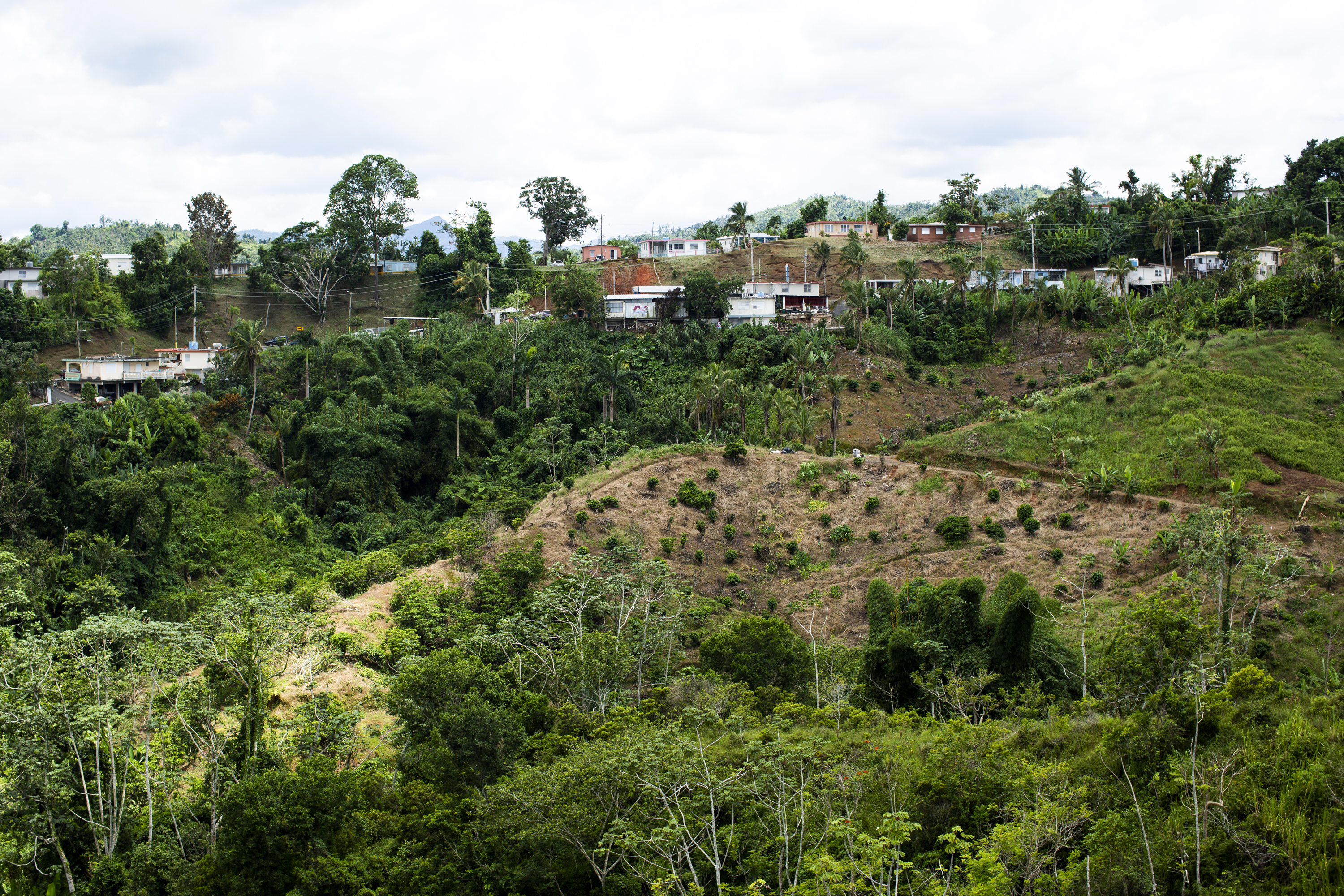 In Puerto Rico’s Migrant Farming Communities, a Health Center Cares for All